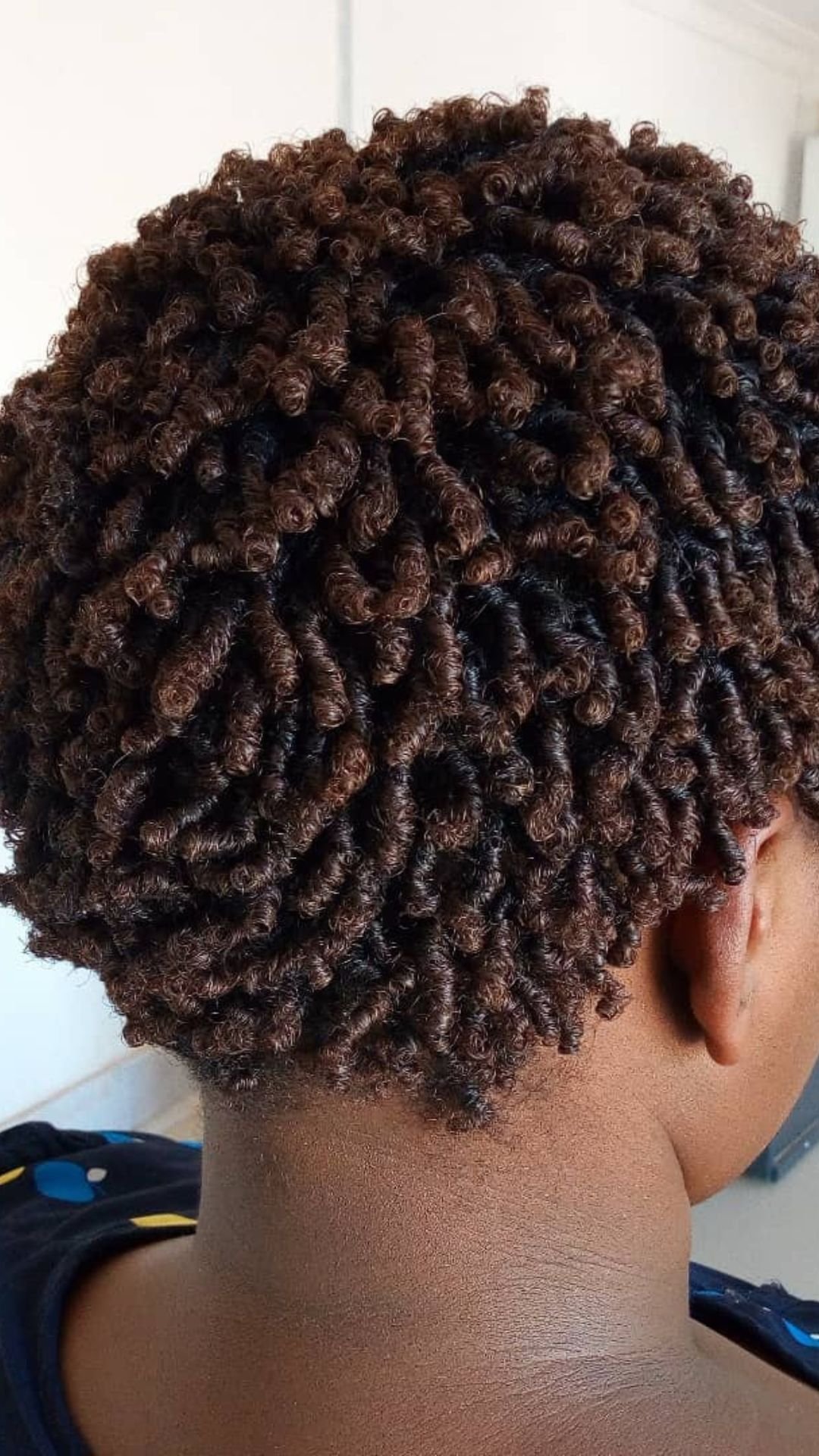 28 Hot Natural Hair Styles: A Journey Through the Crown We Wear - New ...
