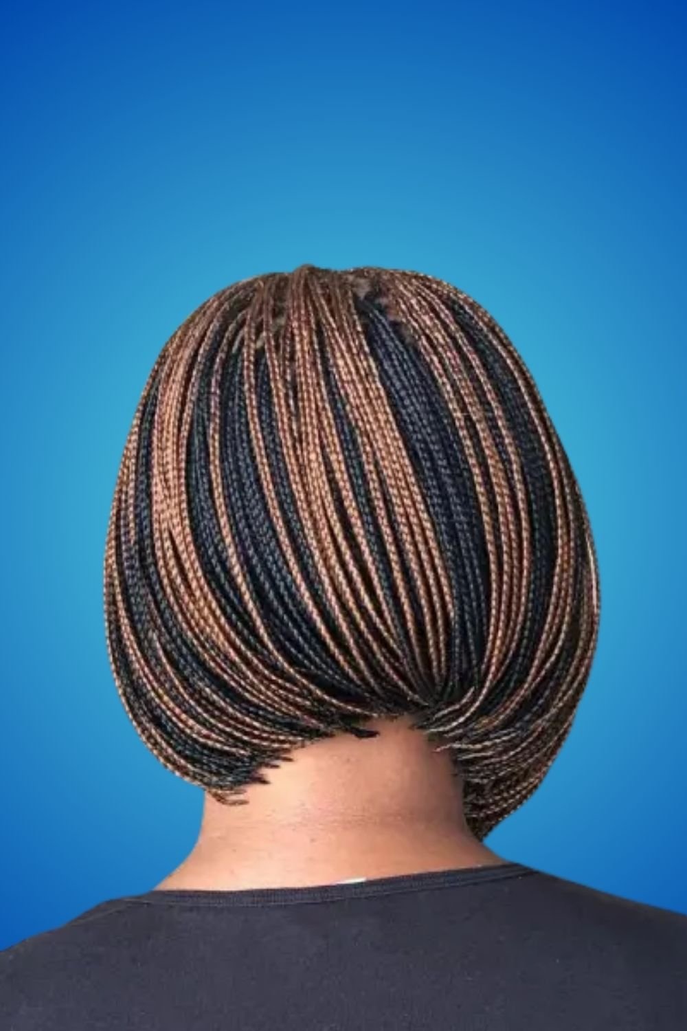 Natural Hairstyles with Braids: 10 Stylish & Protective Looks to Try in ...
